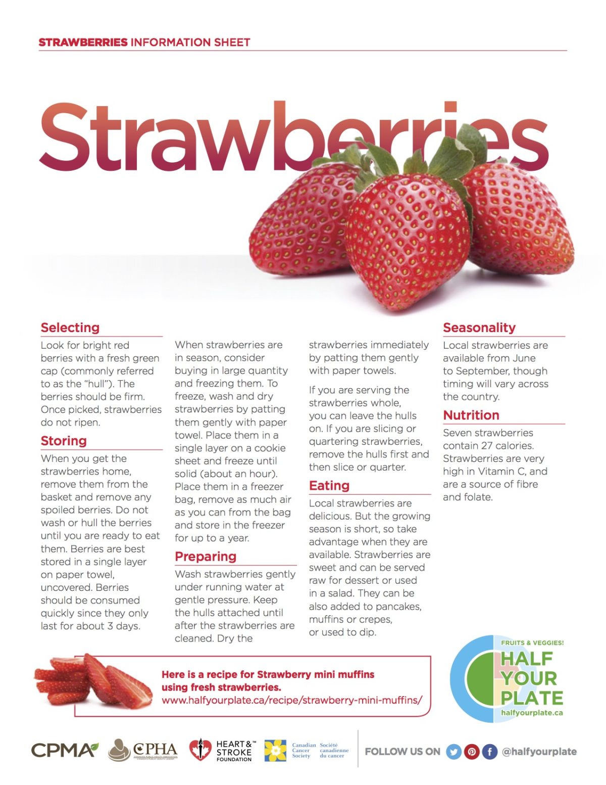 Strawberries – Ontario Student Nutrition Program – Southwest Region